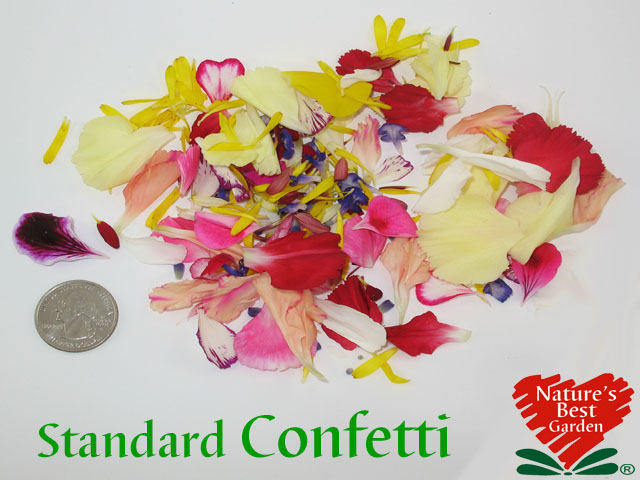NBG Flowers