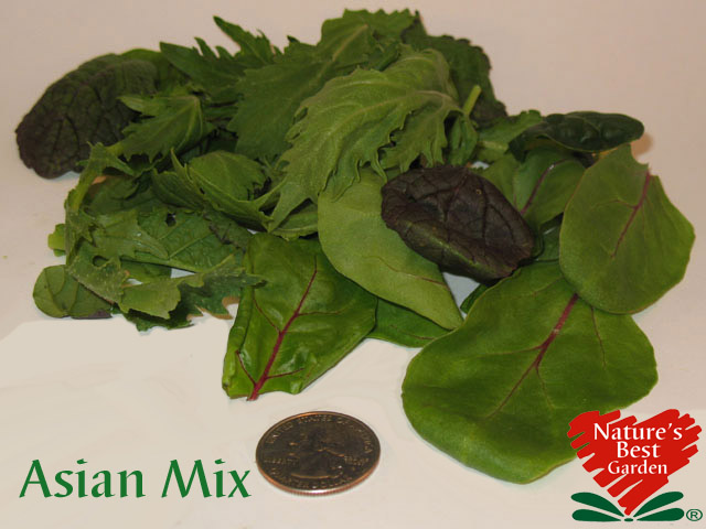 NBG Greens Varieties