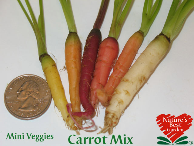 NBG Mini Veggies