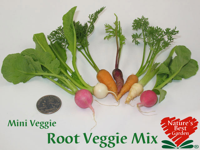 NBG Mini Veggies