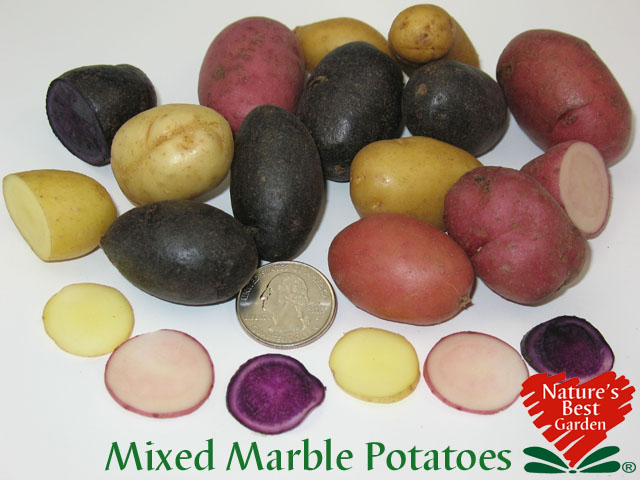 NBG Marble Mixed Potatoes