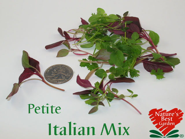 NBG Micro & Petite Italian Mix